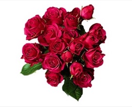 Spray Rose Lovely Lydia - Spray Rose - Roses - Flowers by category ...