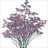 Tall Emile - Hybrid Limonium - Limonium - Flowers by category | Sierra ...