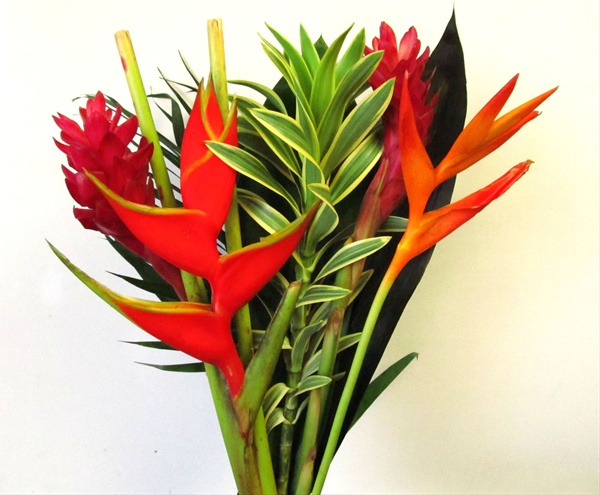 BQ Sierra Selection - Tropical Bouquets - Exotic Blooms and Foliages ...