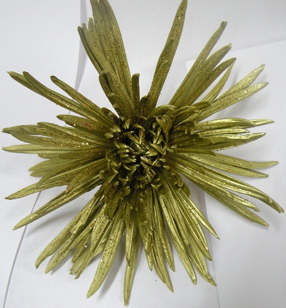 Fuji Painted Gold - Disbuds/Mums - Chrysanthemum - Flowers by category ...