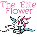 Sierra Flower Finder Contributor | Sierra Flower Finder